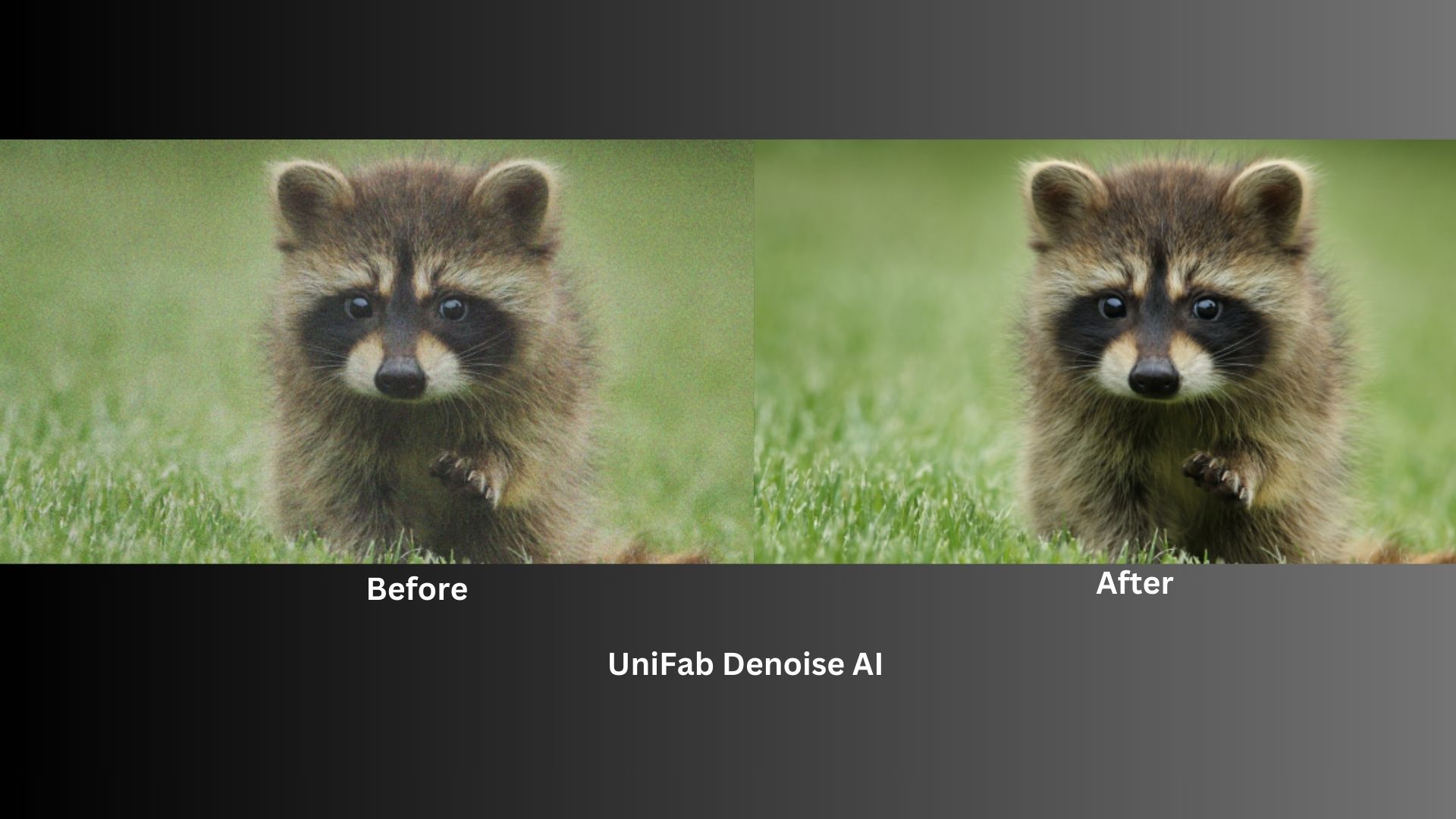 12 Best AI Video Denoise Software in 2024